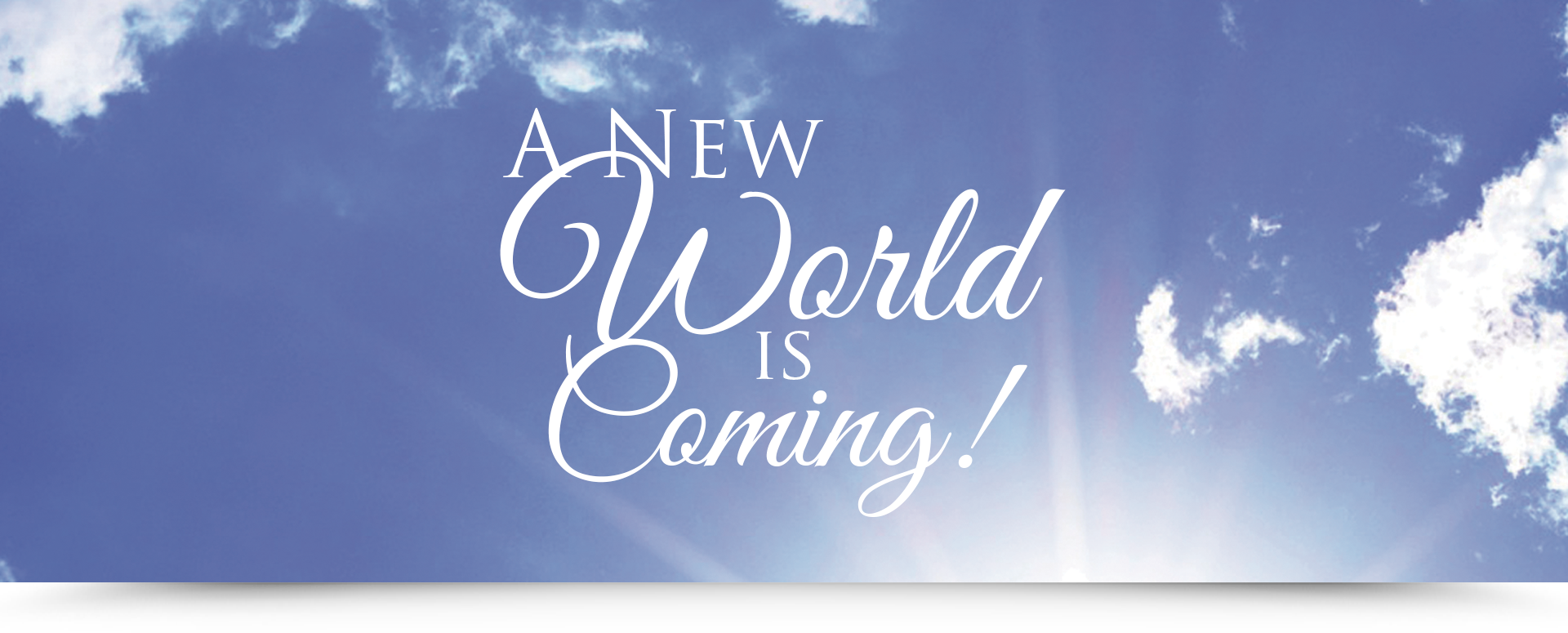 The Book - Robin Louise